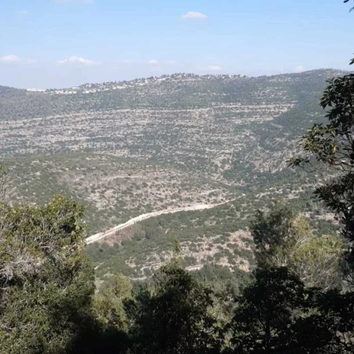 תיאטרון פפיון